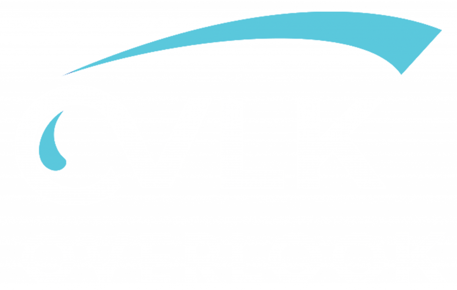 Overlook Industries - Single-use filler needles and filling kits