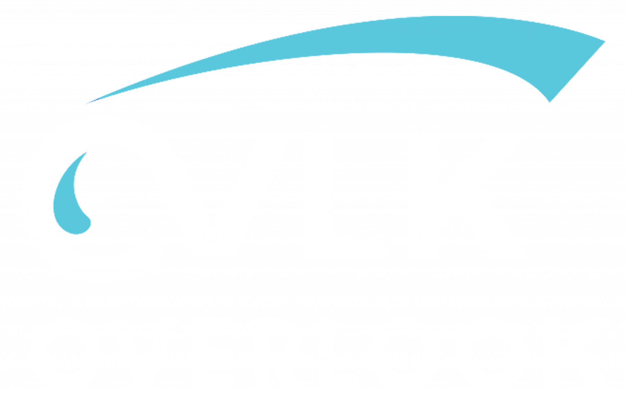 OneShot™ Single-Use Filler Needles - Overlook Industries, Inc.